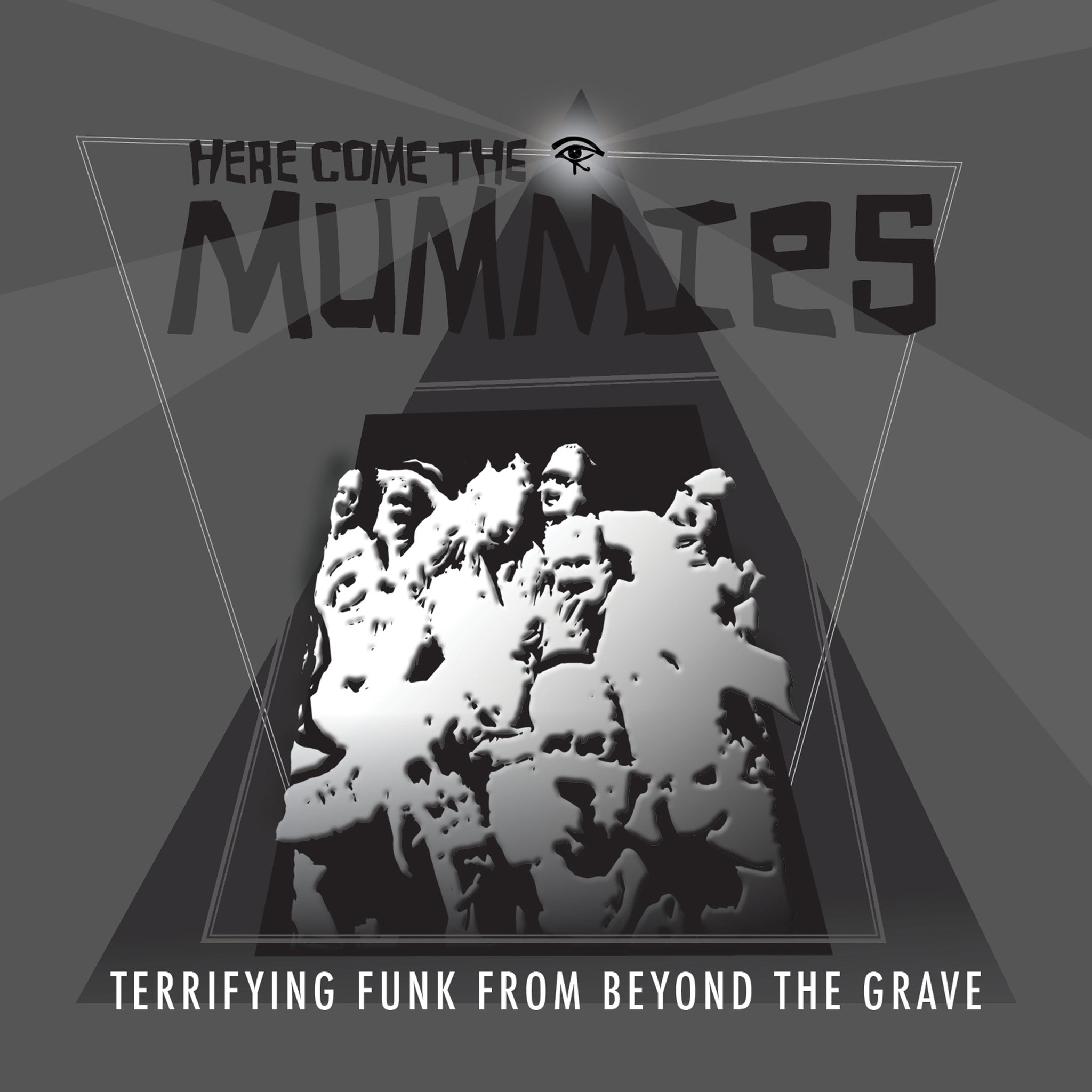 CDs and Concert Films – Here Come The Mummies